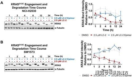 姜标点评 | 靶向KRAS，PROTAC来了_蛋白