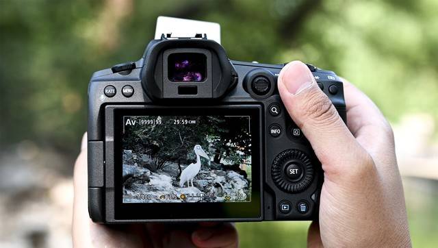 新品对决！EOS R5 VS A7S3应该选哪个？_相机