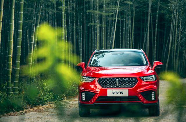 年轻人首选座驾WEY VV5！强动力+高智能，潮酷青年100%适配！_搜狐汽车_搜狐网