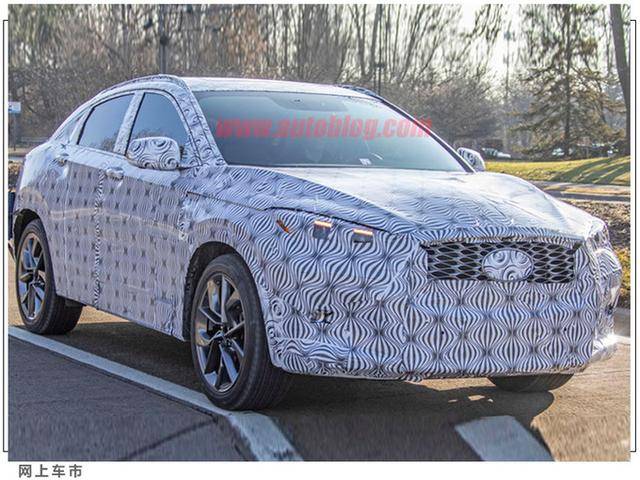 再等三个月！英菲尼迪QX55将亮相，2.0T+轿跑外观，动力超宝马X4_搜狐汽车_搜狐网