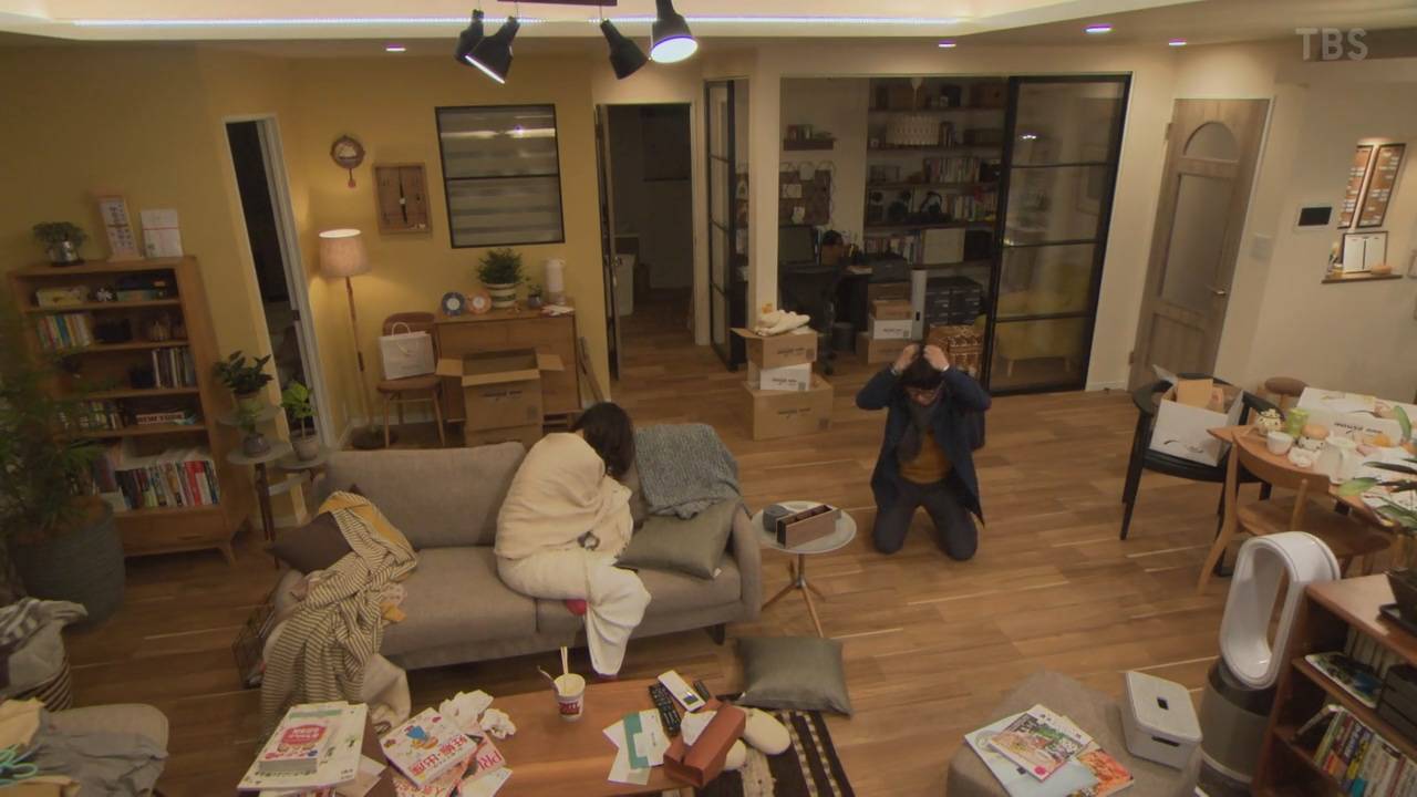 以图观剧：新垣结衣星野源共演《逃避虽可耻但有用 新春特别篇》 搜狐大视野 搜狐新闻
