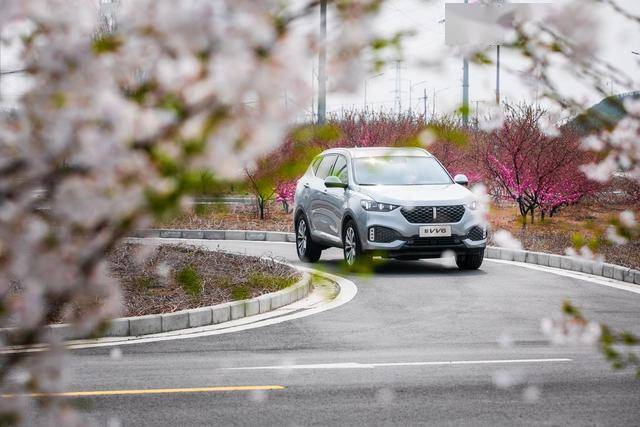 入手不亏！WEY VV6获中汽研001号认证，安全性能很靠谱_搜狐汽车_搜狐网