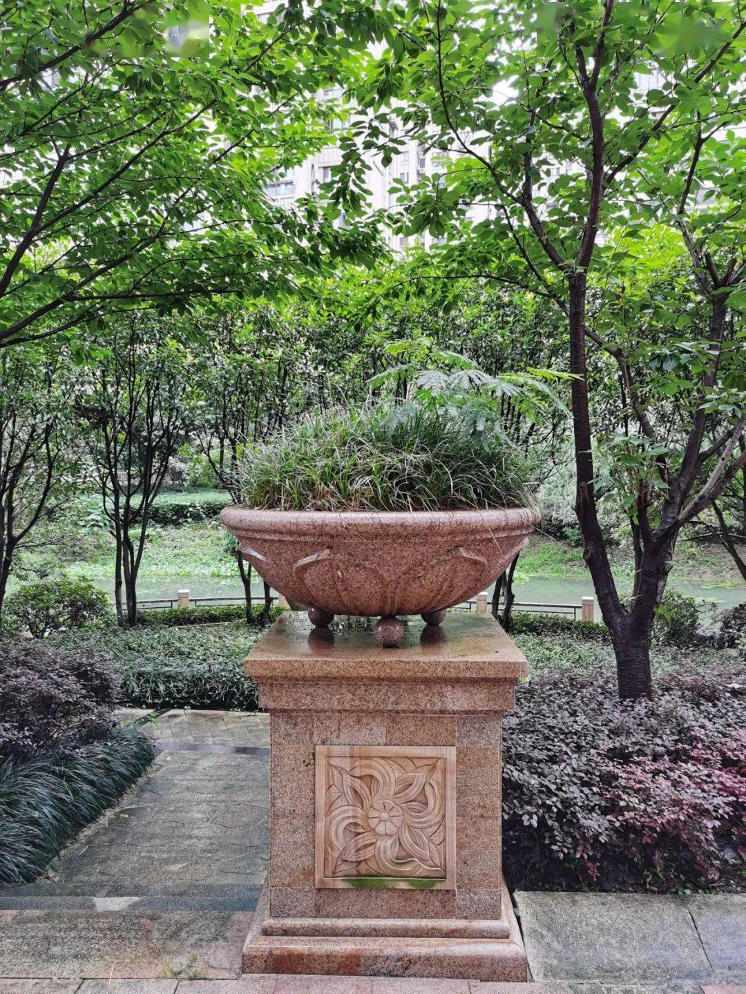 【样张实拍】Redmi10X、荣耀X10、K30 5G相机样张实拍对比_搜狐汽车_搜狐网