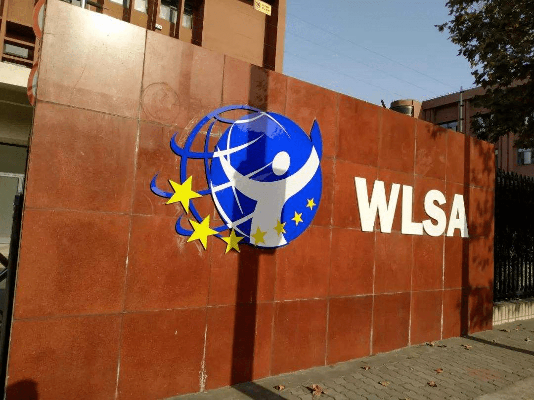 藤校录取奇迹的WLSA，为什么家长挤破头也要上这所学校？_课程