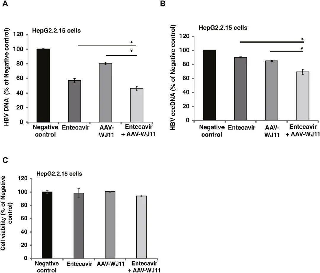 靶向HBV cccDNA的CRISPR/Cas9体内递送系统的开发_研究
