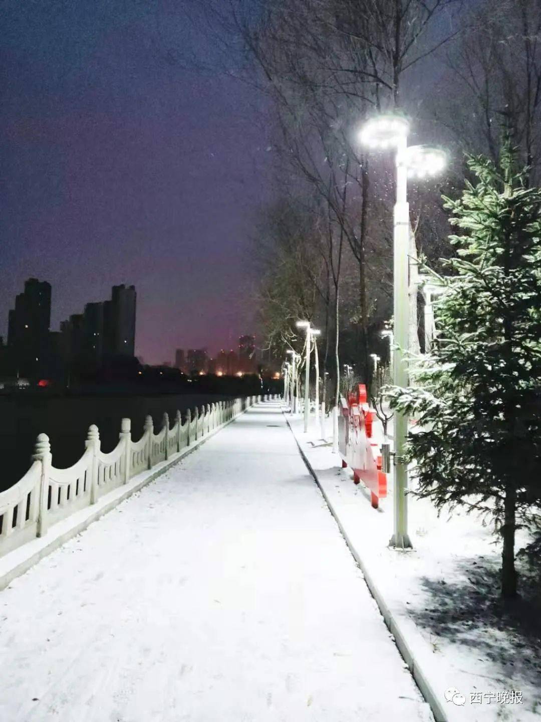 今早，西宁的雪真大！-搜狐大视野-搜狐新闻