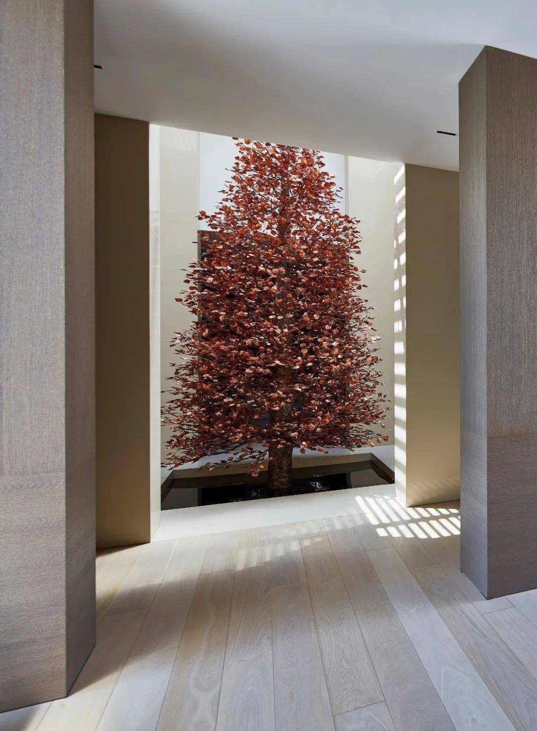 SCDA | 探索室内外之间的负空间-搜狐大视野-搜狐新闻