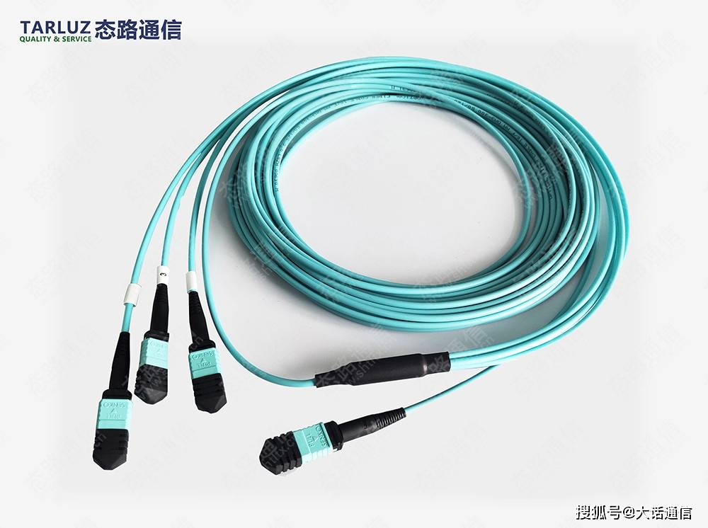 MPO转MPO分支光纤跳线8芯12芯16芯24芯48芯-搜狐大视野-搜狐新闻