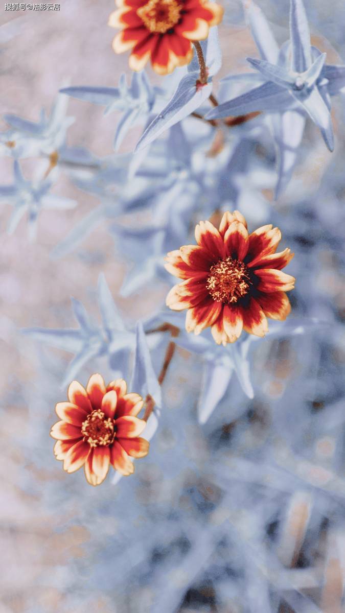 一人一马一天涯，一生一世一西沙-搜狐大视野-搜狐新闻