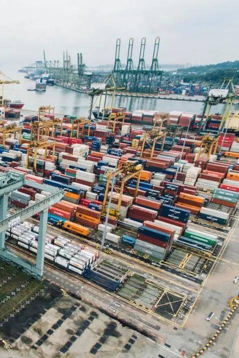 厉害了！BLIS 荣获新西兰国家级品质—FernMark 银蕨认证-搜狐大视野-搜狐新闻