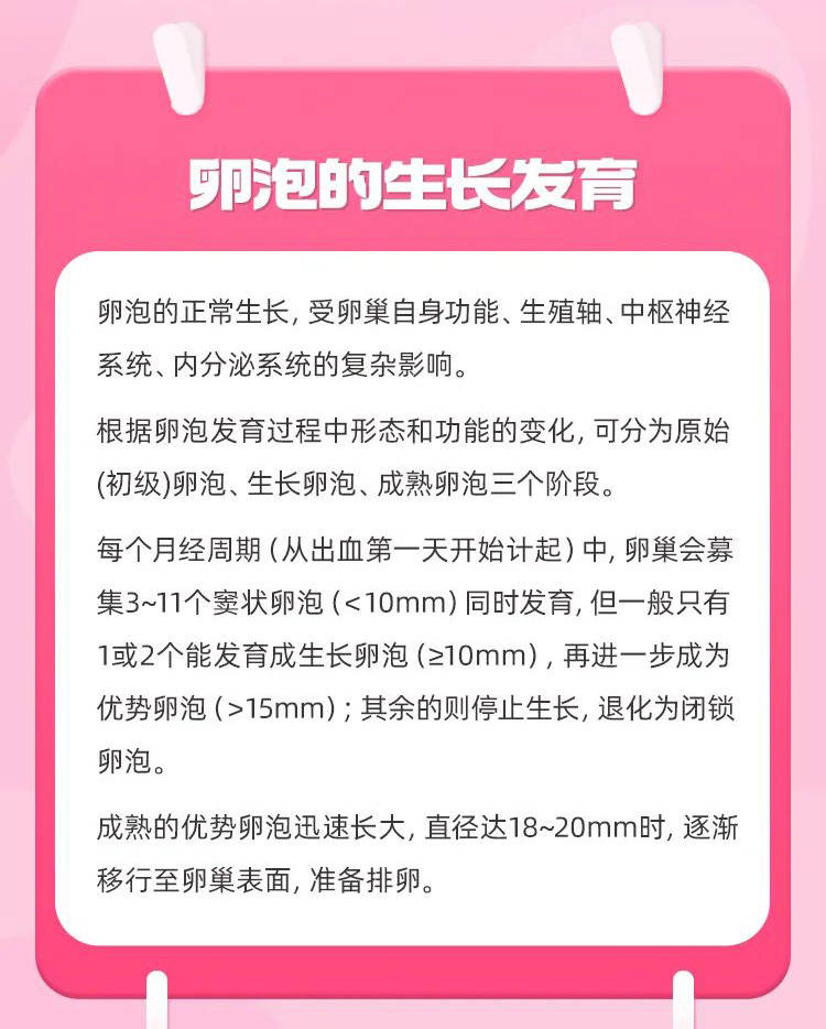 听说卵泡监测很重要？能看出卵泡好不好吗？ 搜狐大视野 搜狐新闻