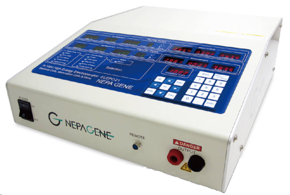 【转载】E. John Wherry博士：耗竭T细胞不同发育阶段，发现不一样的免疫疗法_研究人员