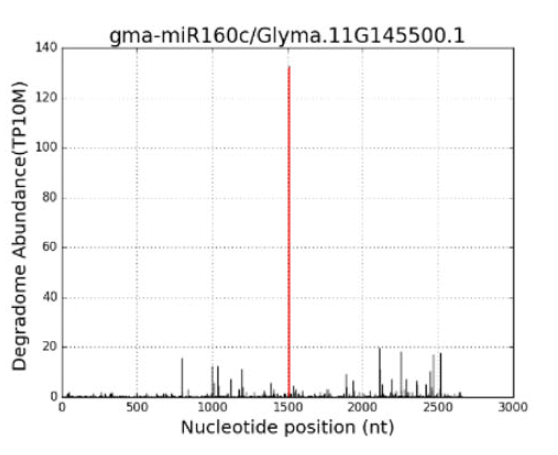 干货 | 为什么推荐你做降解组测序？（一）_miRNA