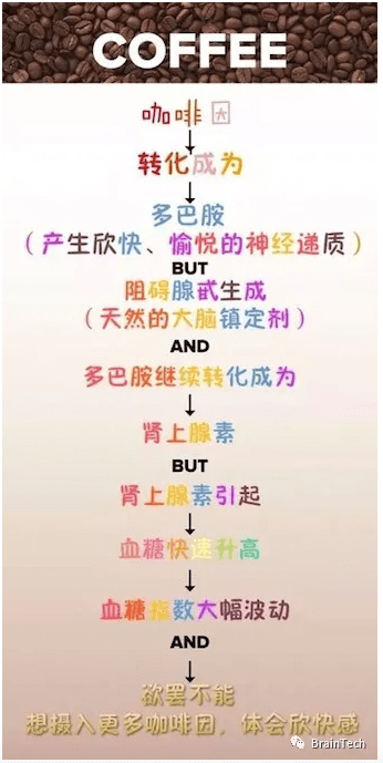 咖啡对大脑的影响_咖啡因