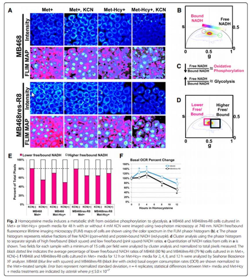 SCI论文中Figure图如何制作？_Table