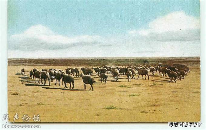 老照片，伪满时期的内蒙古民俗-搜狐大视野-搜狐新闻