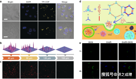 香港城大张其春教授：共价有机框架COF发光材料的设计策略_多孔结构
