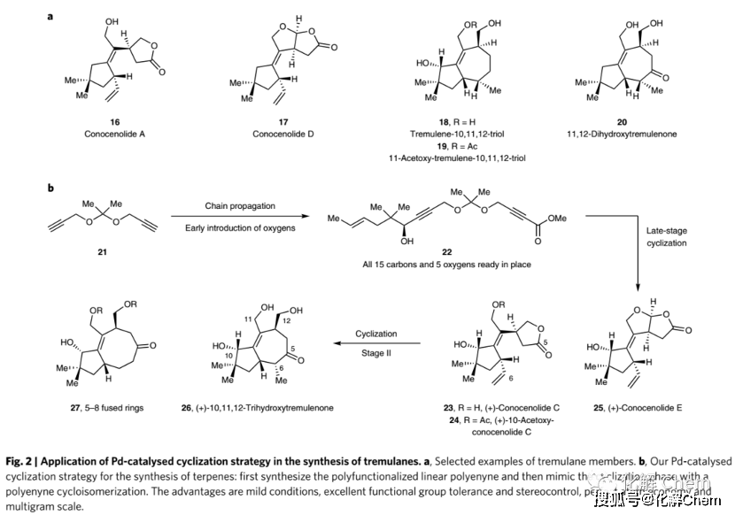【全合成】Barry M. Trost 团队 Nature Chemistry_Fig