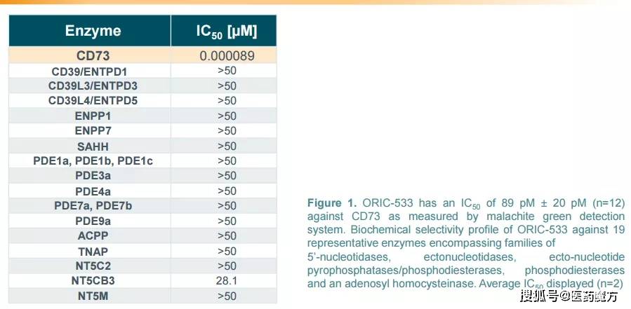 2021 AACR| 聚焦肿瘤耐药创新疗法！这家公司公布4个项目临床前数据_治疗