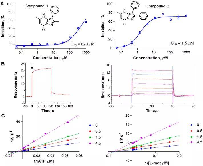 JMC | AG-270: First-in-Class MAT2A小分子抑制剂用于治疗MTAP缺失引起的肿瘤_化合物