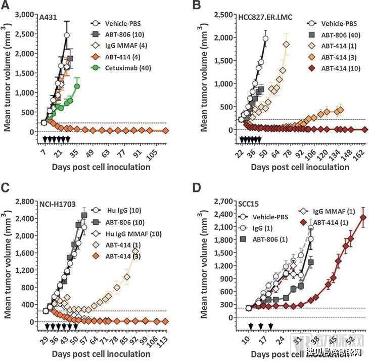 EGFR下一站：双抗与ADC_临床