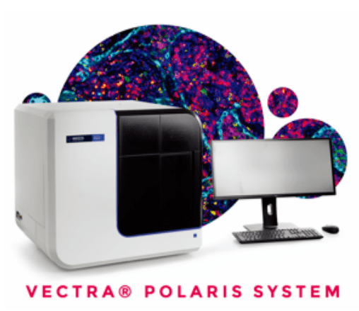 【Akoya网络研讨会】Opal多重荧光染色助力空间细胞分型——从手动到自动化_Leica