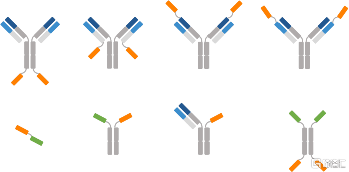 从安进25亿美元收购Teneobio案，看被低估的和铂医药-B_抗体