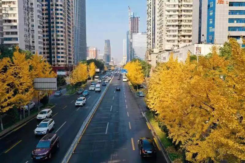 为什么城央大平层成了新贵们的终极理想？_长沙