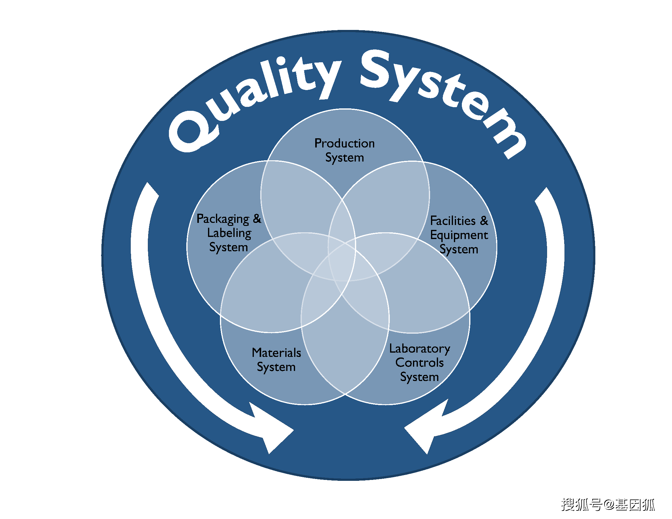 GMP规范下细胞治疗产品的生产_Keizer