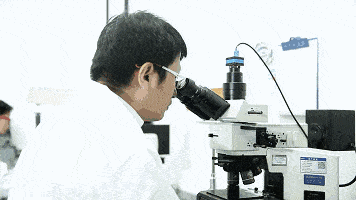 重新定义DQE，PQE/MQE，SQE_分析