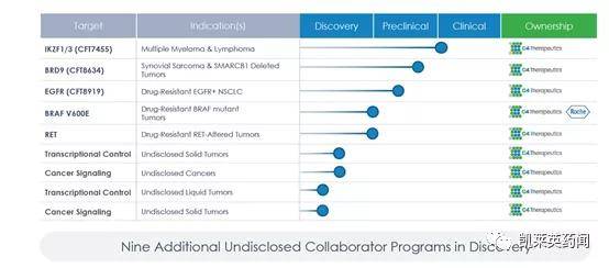 聚焦药靶：小分子药的春天，PROTAC的最新研究进展_蛋白
