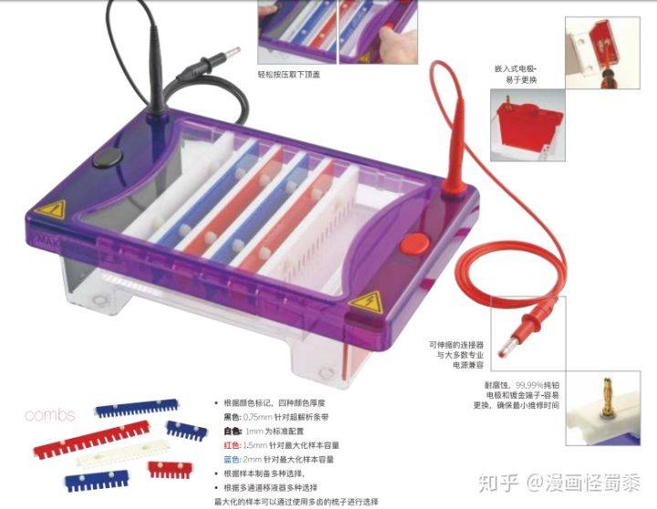 【评测】照胶的仪器选购 成像仪