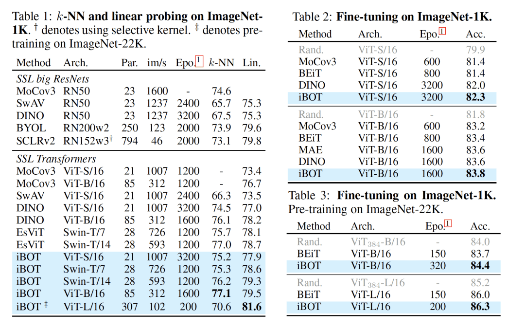 BERT是图像预训练未来？字节跳动iBOT刷新十几项SOTA，部分指标超MAE_模型