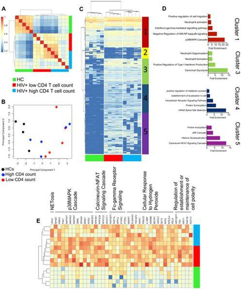 艾滋病HIV最新研究成果进展（2021年11月）_SIVmac_cure_治疗
