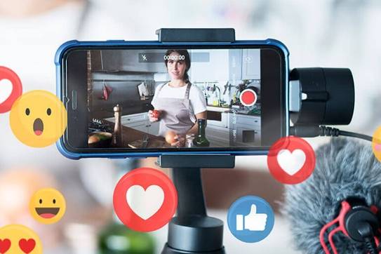 无处不在的.live_域名_Mivo_Fox