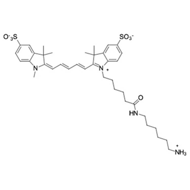 Sulfo-Cyanine5-amine，2183440-44-8，Sulfo Cy5 NH2是深蓝色粉末试剂_ester_博美_azide