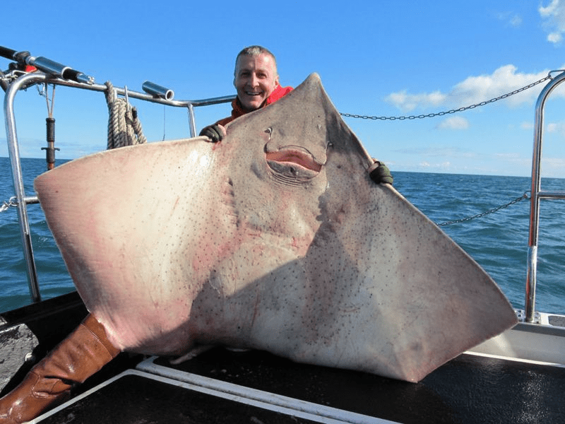 笑起来像天使，被晒干像魔鬼，竟然还有两幅面孔的鱼？_胸鳍_眼睛_模样