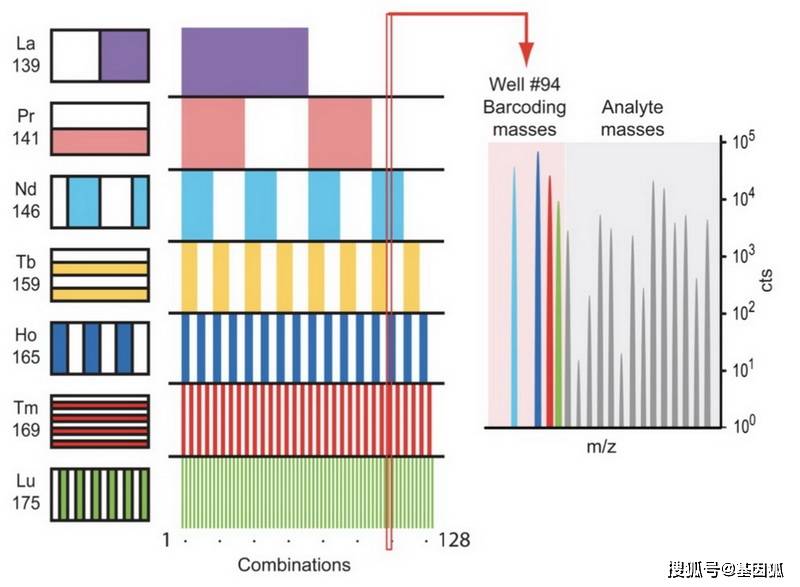 经验分享：质谱流式细胞技术简介_检测_分子_标记