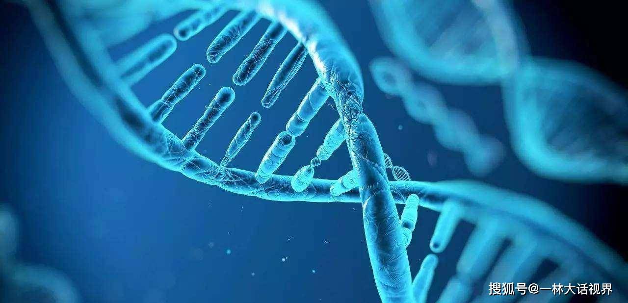 ADRB1基因的秘密｜睡眠时间也受遗传影响？_研究_Affects_神经元