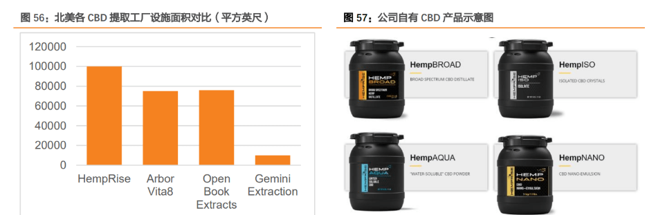 替糖行业隐形冠军，莱茵生物：战略布局 CBD 打造第二增长极_公司_植物_甜味剂