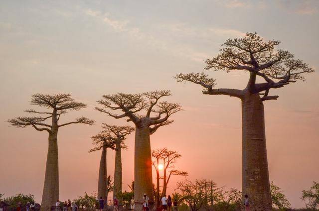 这大概是我这辈子看过最漂亮的日落！不要门票，坐在树下就能看_地方_旅游_风景