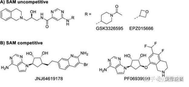 挑战DDR靶点之PRMT5|靶点筛选|安全靶点筛选|酶学检测|药物研发服务_合成_临床_基因
