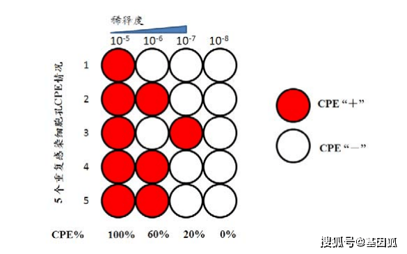 经验分享：病毒半数组织感染量（TCID50）简介_细胞_进行_统计原理