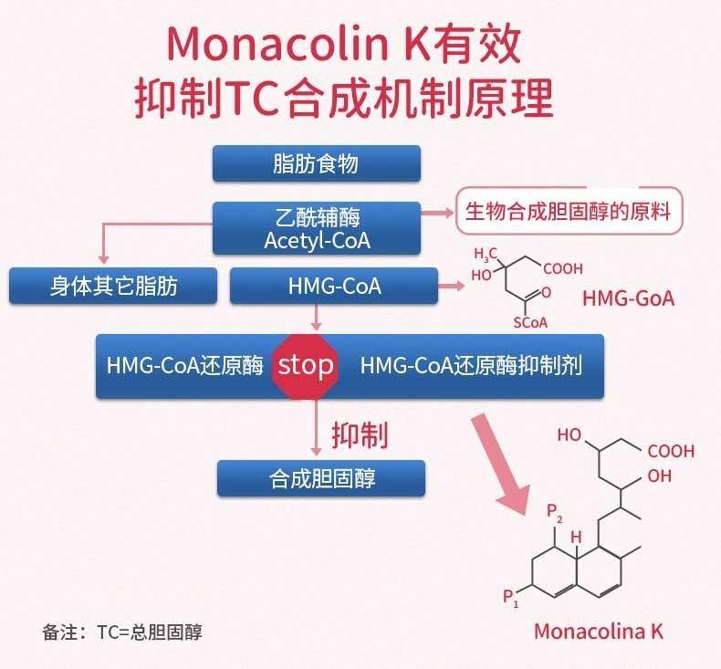 西班牙波利王Policol One坚守温和安全不伤肝，成降血脂降胆固醇断货王_王红曲_胶囊_效果