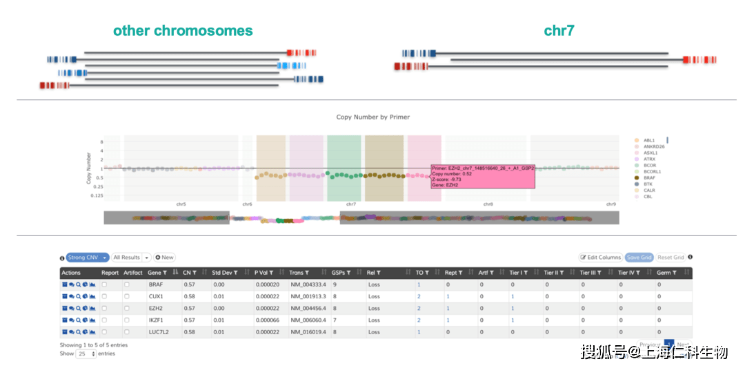 拷贝数变异的检测_panel_ArcherDX_样本