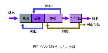 探索AAO及改良型工艺耦合MBR工艺最佳运行调控方式_处理_回流_污泥