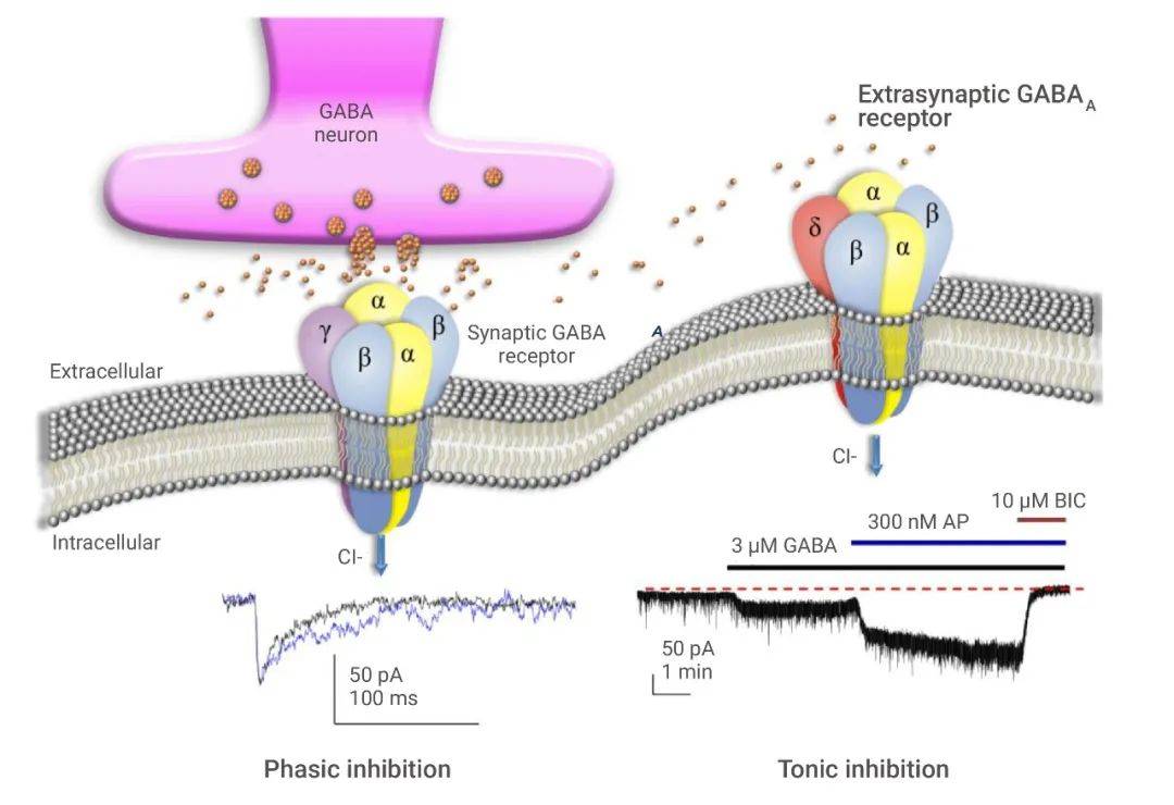 2022 上半年 FDA 小分子药物盘点 - MedChemExpress_是一种_激酶_治疗