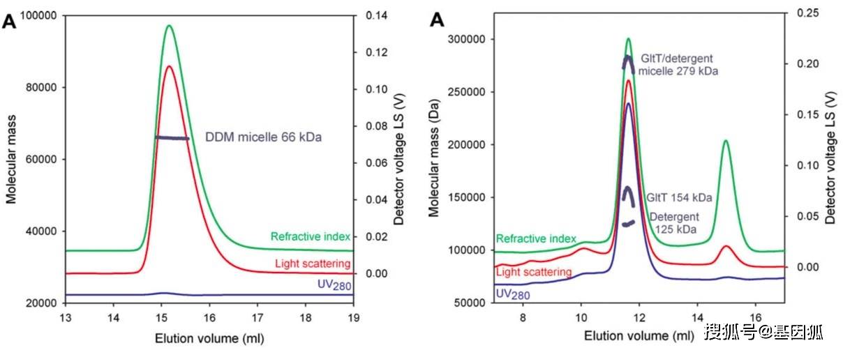 经验分享：多角度激光散射（MALS）技术在大分子研究中的应用简介_复合物_蛋白_样品