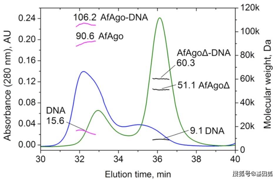 经验分享：多角度激光散射（MALS）技术在大分子研究中的应用简介_复合物_蛋白_样品