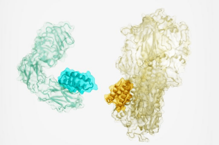 上帝之手David Baker：从哲学跨界，围堵AlphaFold_蛋白质_结构_Rosetta